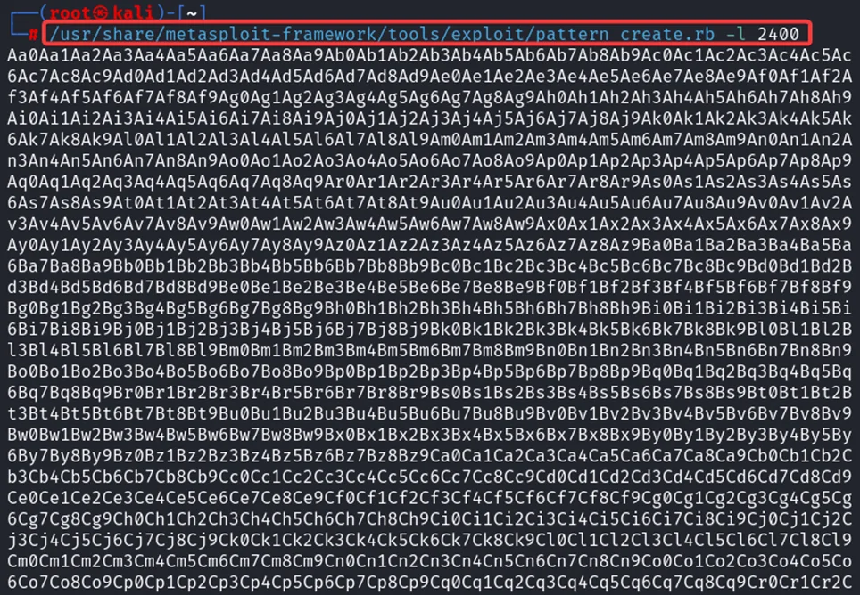 Buffer Overflow Basics Redfox Security Pen Testing Services